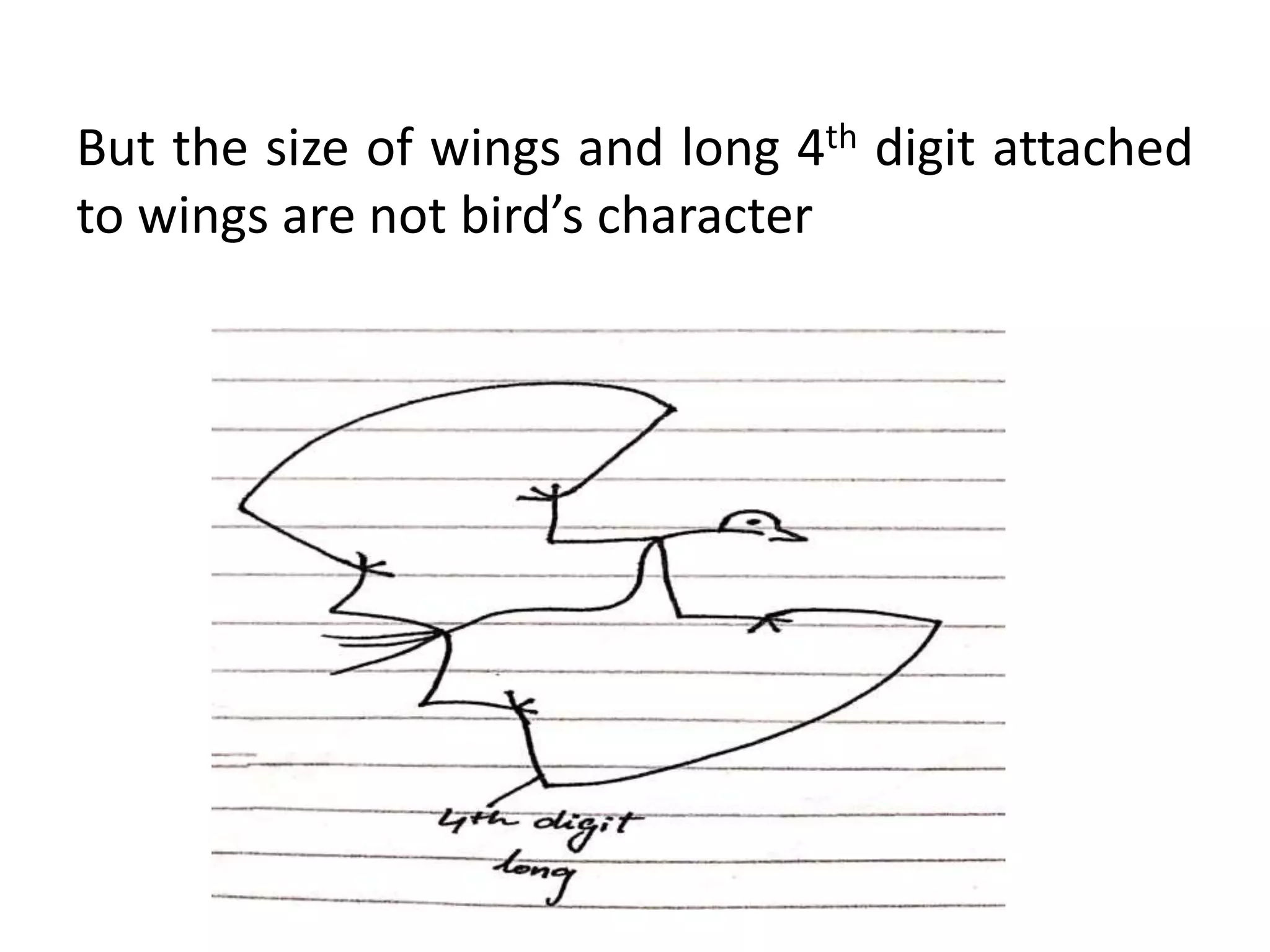 History of Birds Evolution.pptx