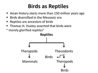 History of Birds Evolution.pptx