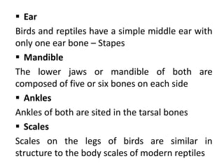 History of Birds Evolution.pptx