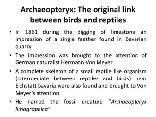 History of Birds Evolution.pptx