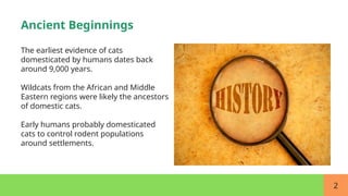 History Of Cat.pptx