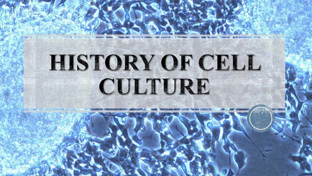 History of cell culture | PPTX | Biological Sciences | Science