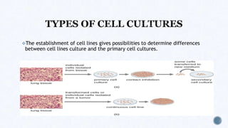 History of cell culture | PPTX