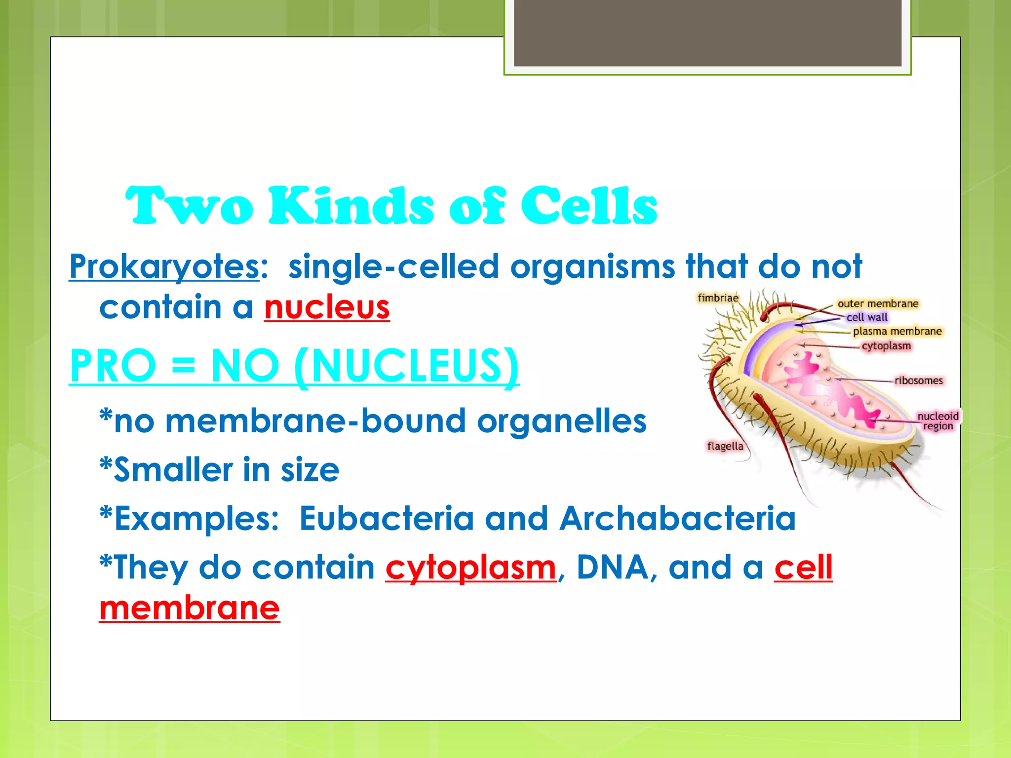 History of cells | PPT