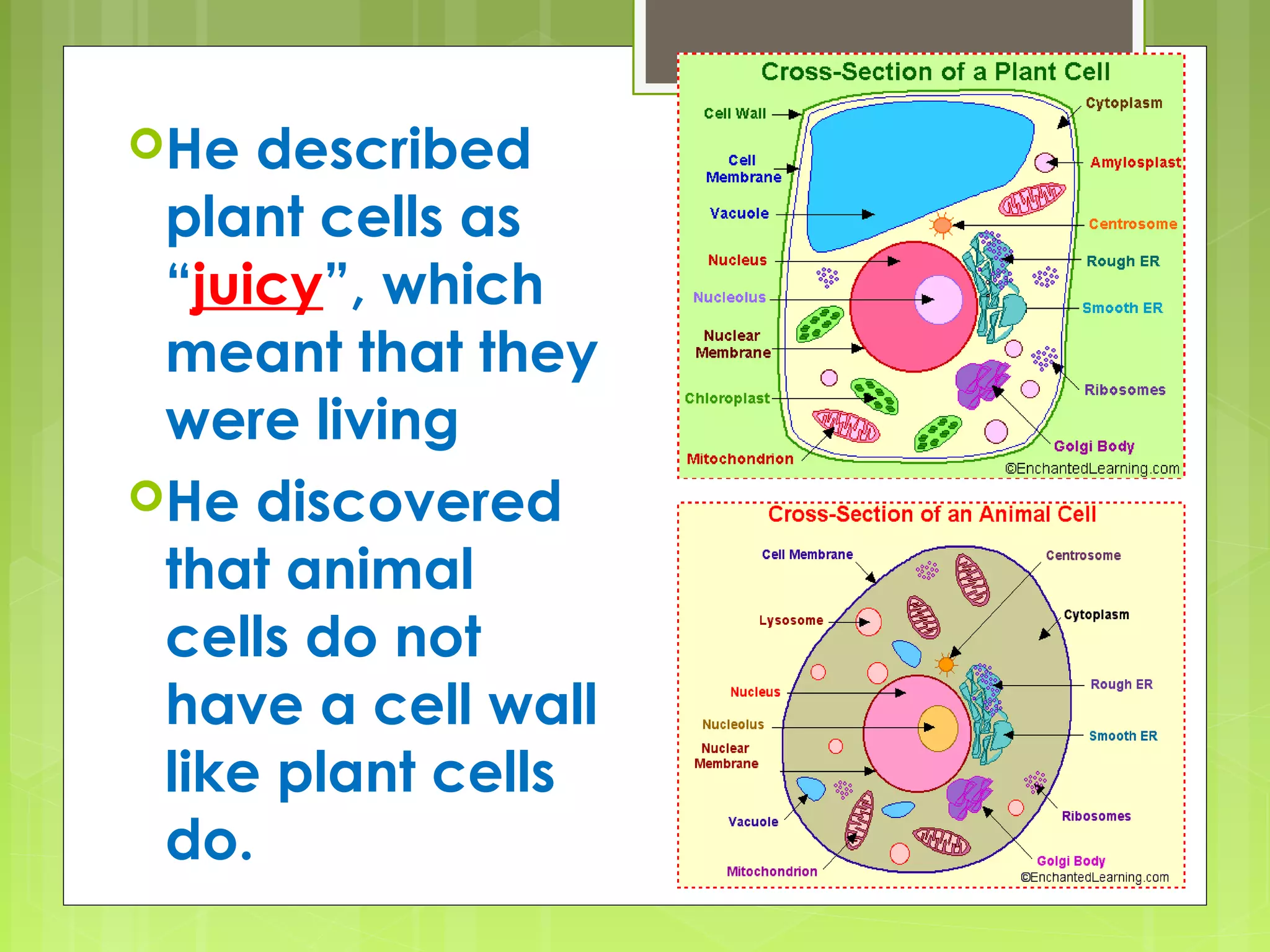 History of cells | PPT