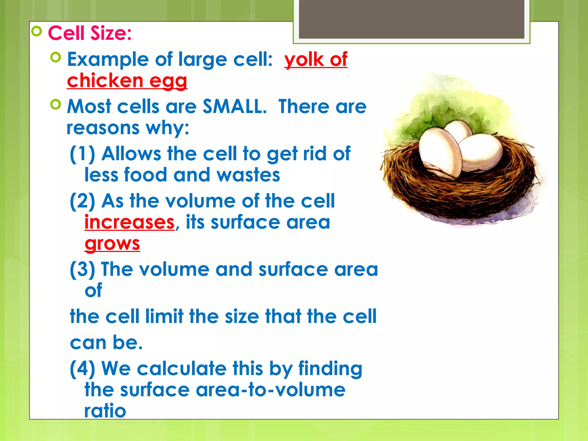 History of cells | PPT