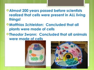 History of cells | PPT