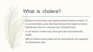History of cholera | PPTX