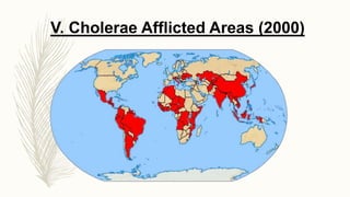 History of cholera | PPTX