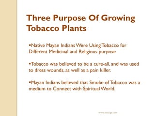 History of Cigarette Smoking | PPTX