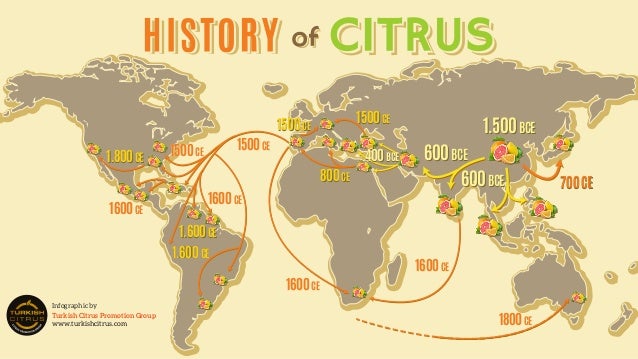 History of Citrus Map