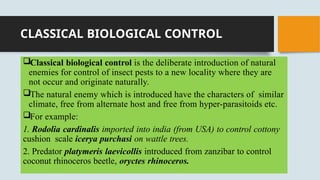 HISTORY OF CLASSICAL BIOLOGICAL CONTROL Prateek Parida ppt1.pptx