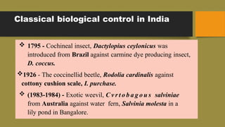 HISTORY OF CLASSICAL BIOLOGICAL CONTROL Prateek Parida ppt1.pptx