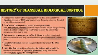 HISTORY OF CLASSICAL BIOLOGICAL CONTROL Prateek Parida ppt1.pptx