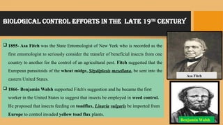 HISTORY OF CLASSICAL BIOLOGICAL CONTROL Prateek Parida ppt1.pptx