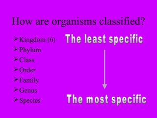 History of classification | PPT