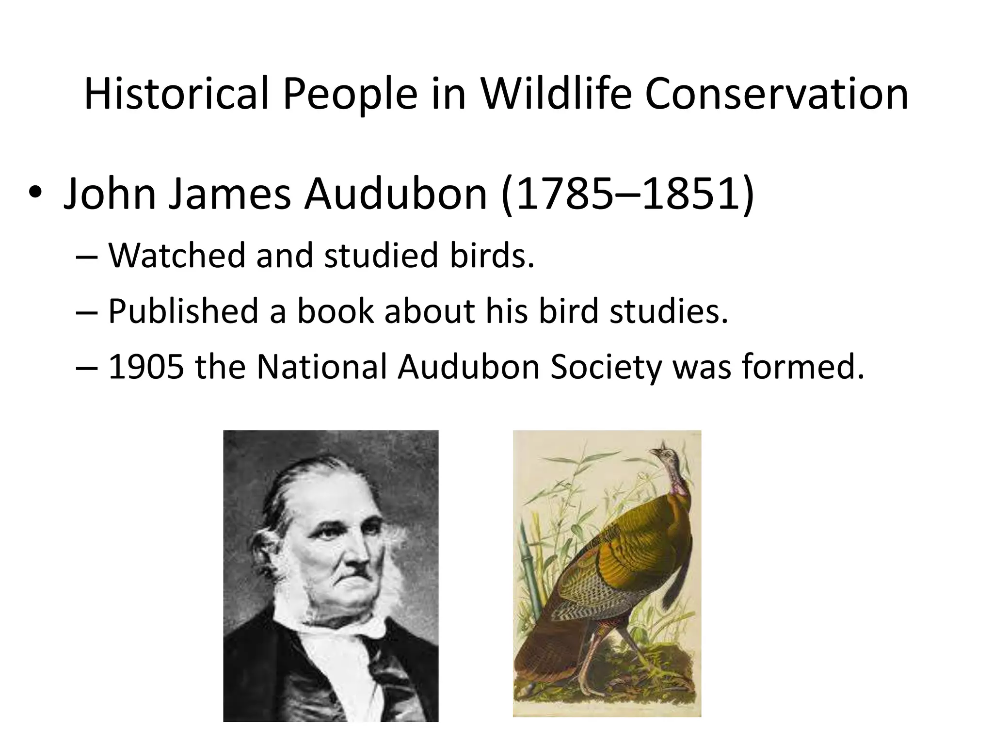 History of conservation | PPTX