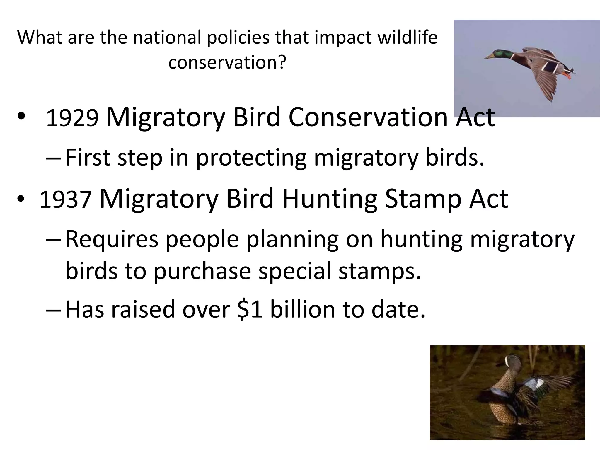 History of conservation | PPTX