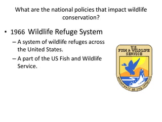 History of conservation | PPTX