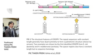 HISTORY OF CRISPR CAS-MAJOR INVENTIONS AND IT’S APPLICATION.pptx