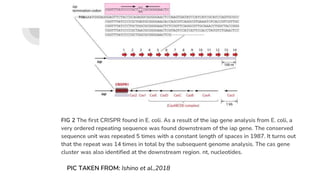 HISTORY OF CRISPR CAS-MAJOR INVENTIONS AND IT’S APPLICATION.pptx