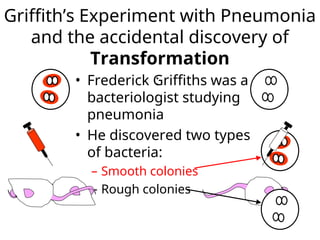 History_of_DNA.pptDNA History presentation ppt | PPT