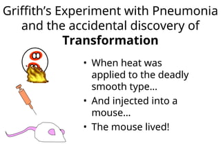 History_of_DNA.pptDNA History presentation ppt | PPT
