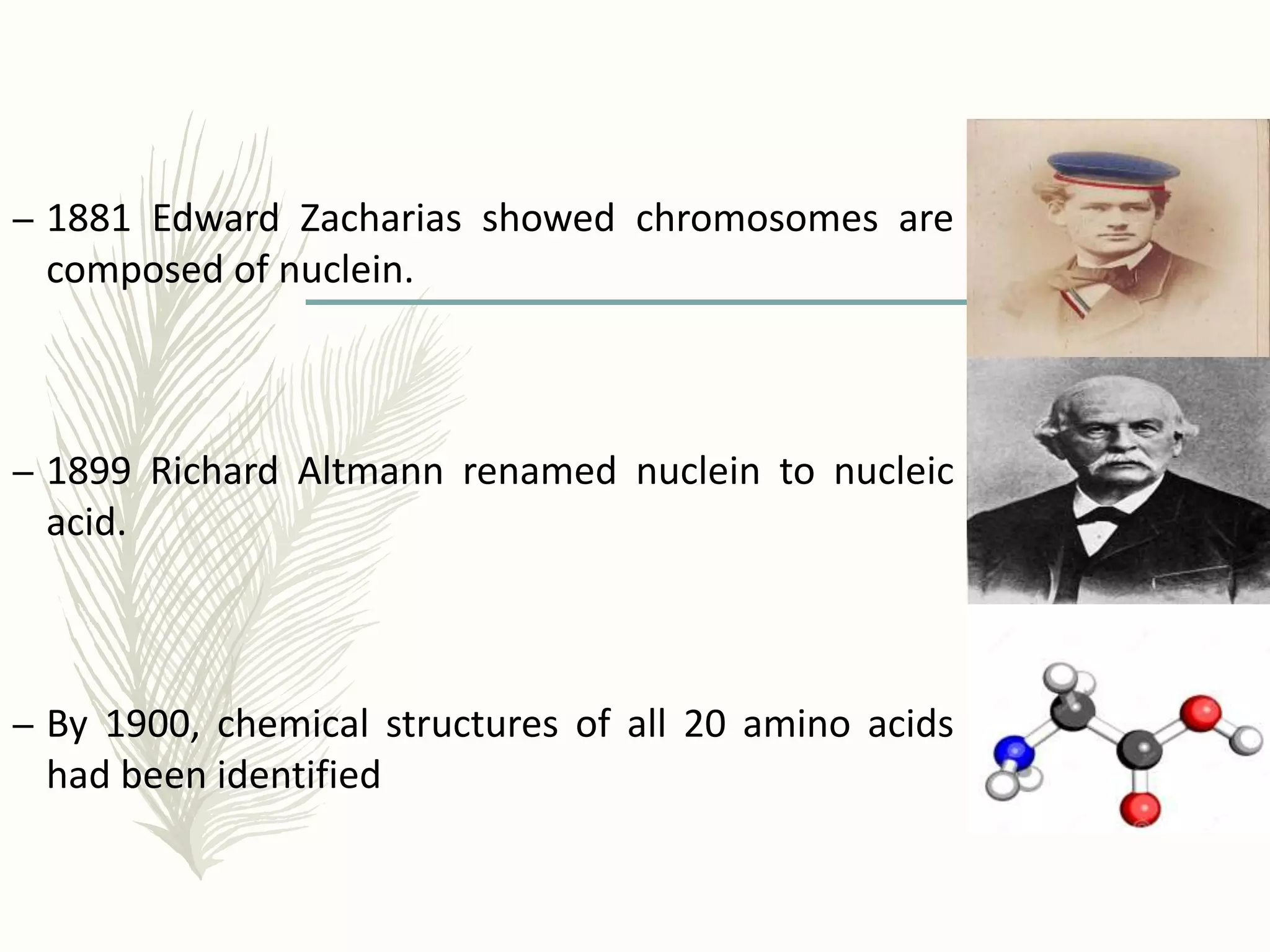 History of DNA Development | PPTX
