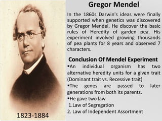 History of DNA Development | PPTX