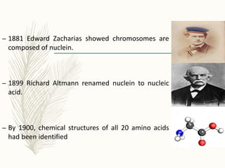 History of DNA Development | PPTX
