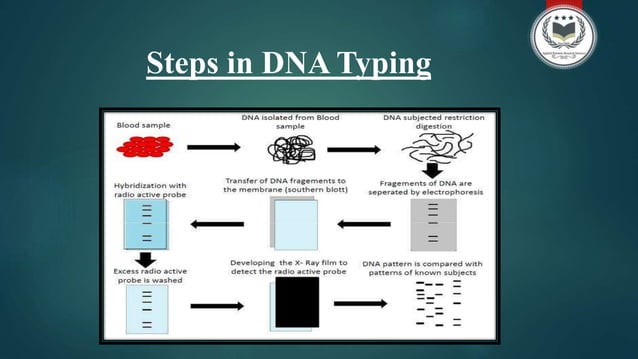 History OF DNA typing | PPTX | Genetics | Science