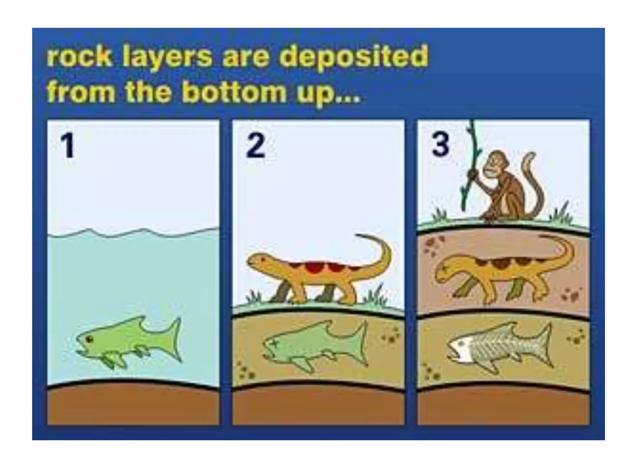 History of earth | PPTX | Geography | Science