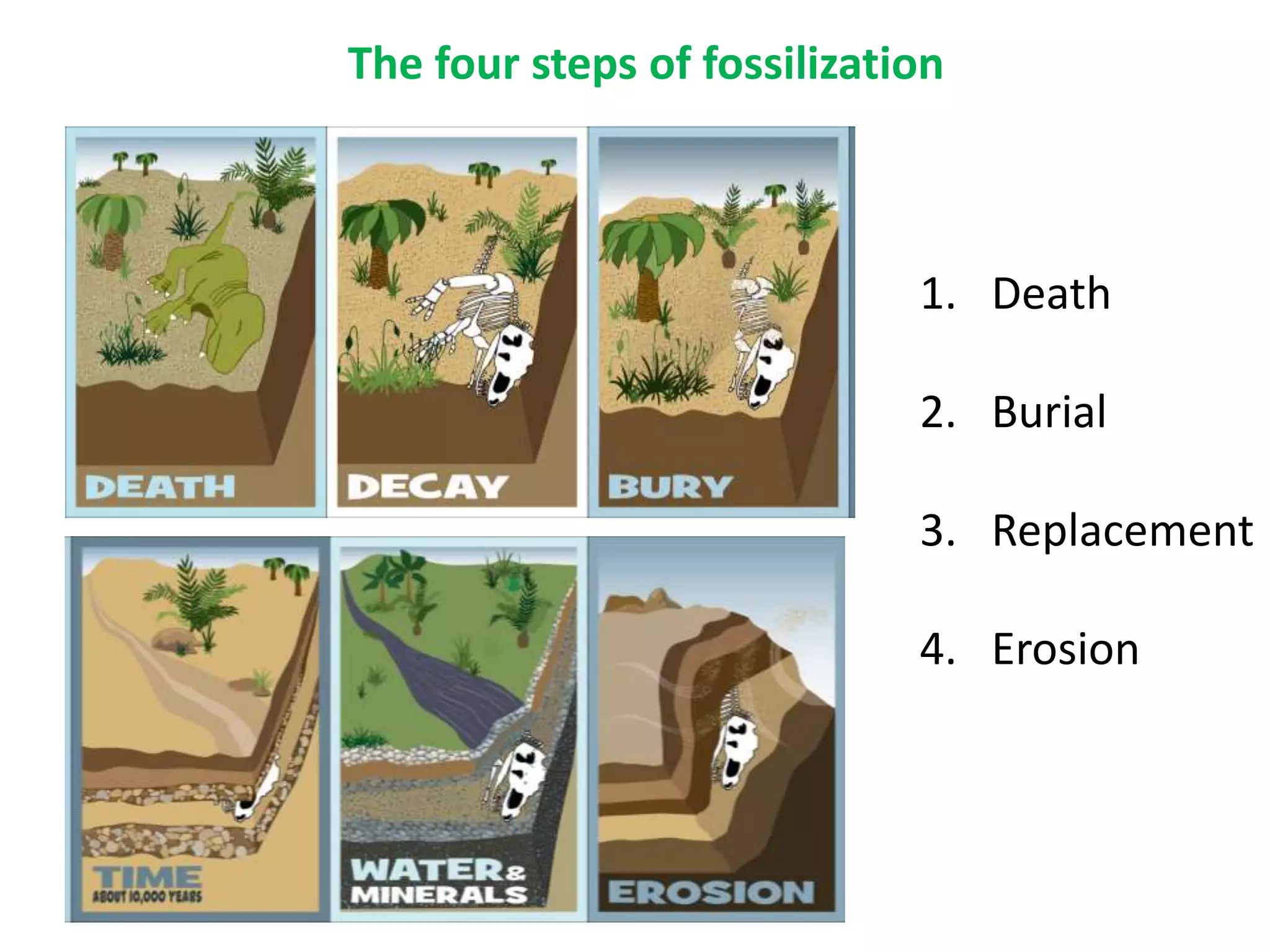 History of earth | PPTX