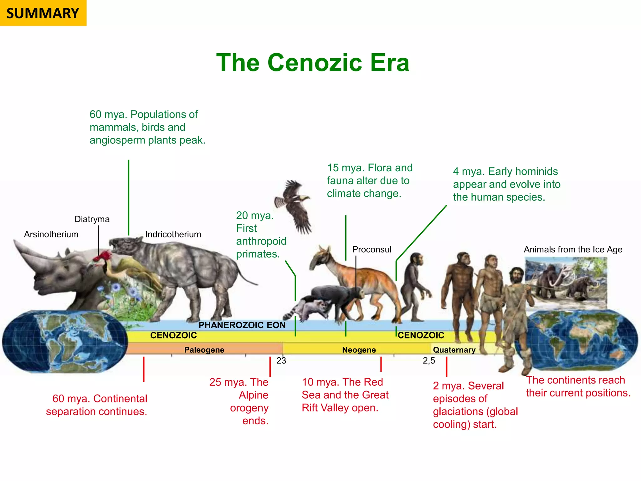 History of earth | PPTX