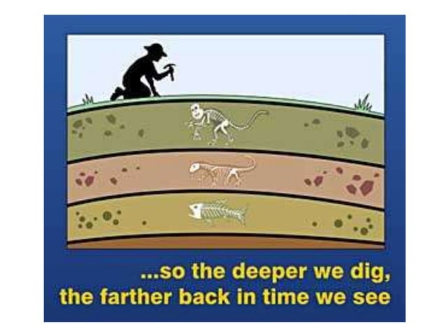 History of earth | PPTX | Geography | Science