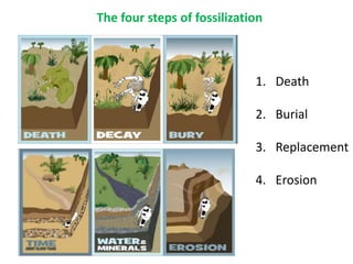 History of earth | PPTX
