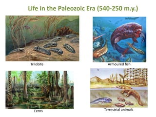 History of earth | PPTX