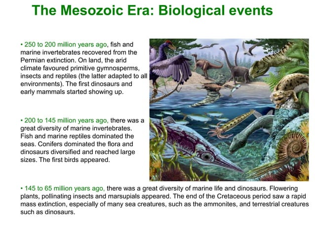 History of earth | PPTX | Geography | Science