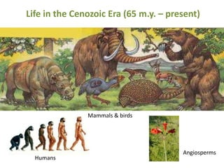 History of earth | PPTX