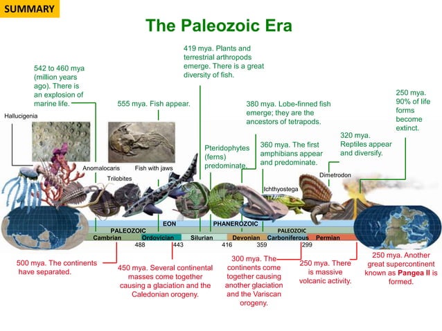 History of earth | PPTX | Geography | Science