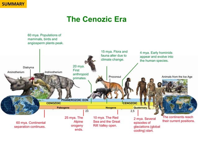 History of earth | PPTX | Geography | Science