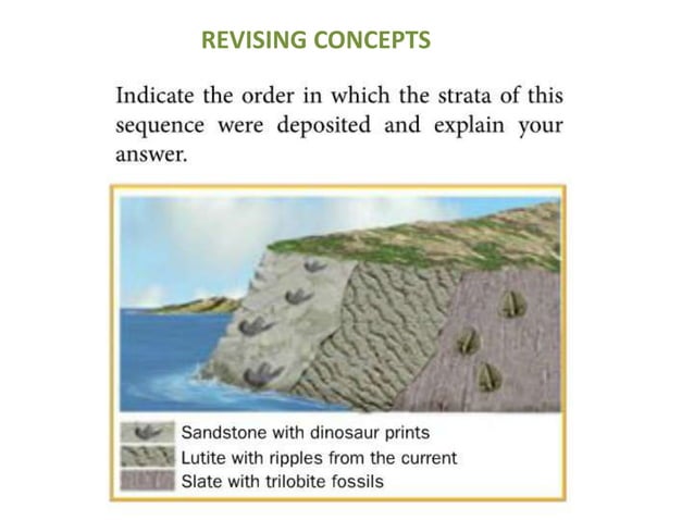History of earth | PPTX | Geography | Science