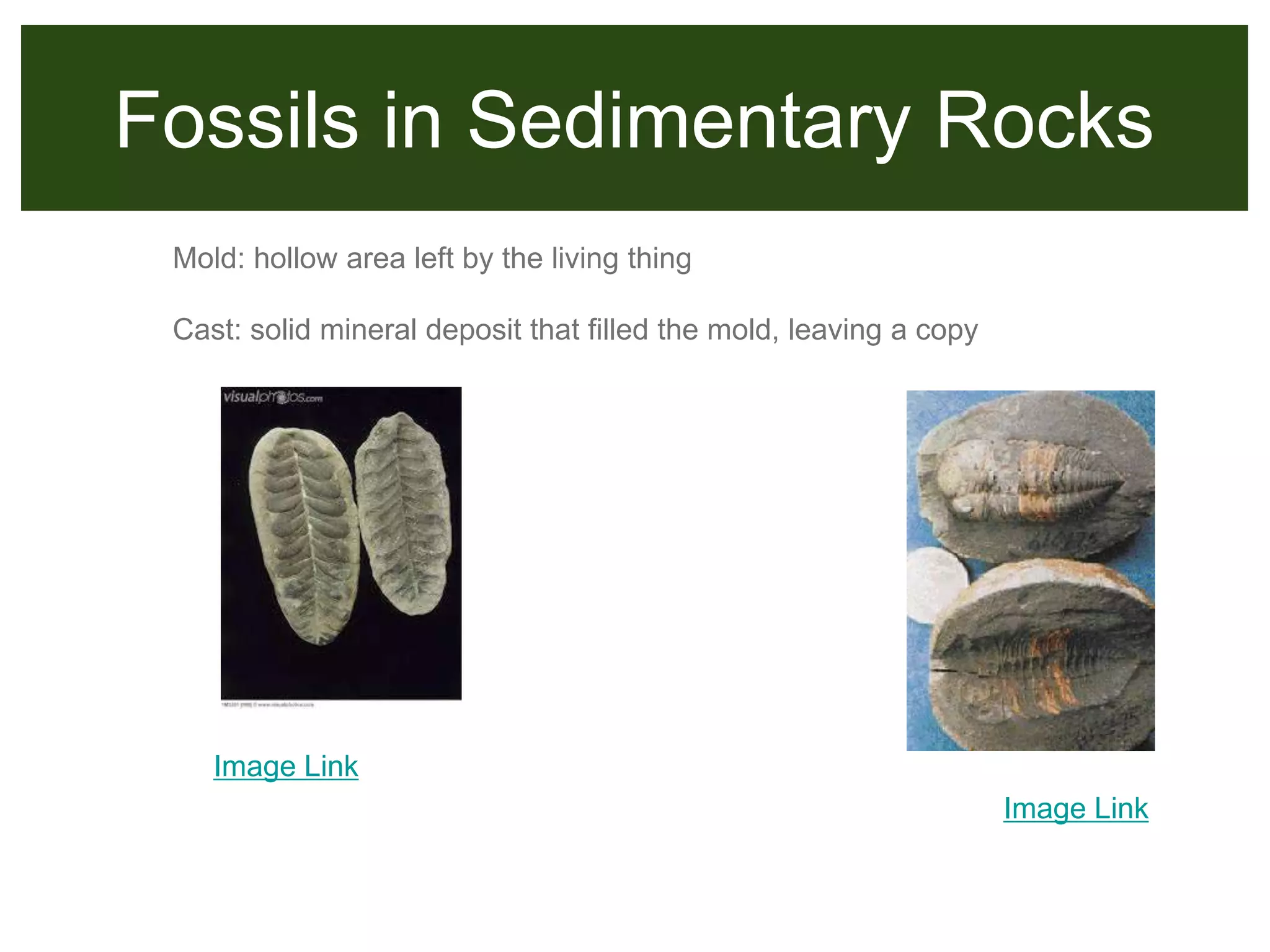 History of Earth: using Fossils and Rock Layers to tell the story | PPT