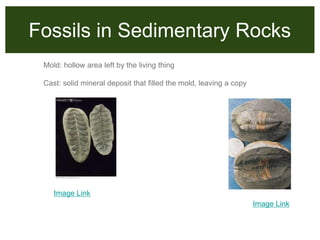 History of Earth: using Fossils and Rock Layers to tell the story | PPT
