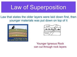 History of Earth: using Fossils and Rock Layers to tell the story | PPT