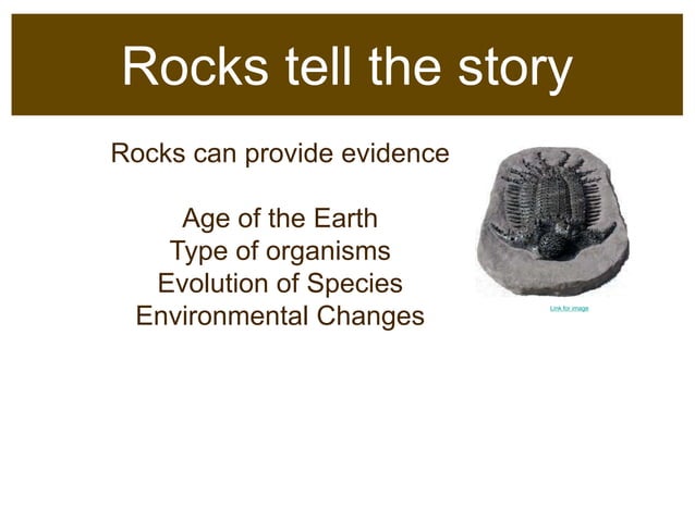 History of Earth: using Fossils and Rock Layers to tell the story | PPT
