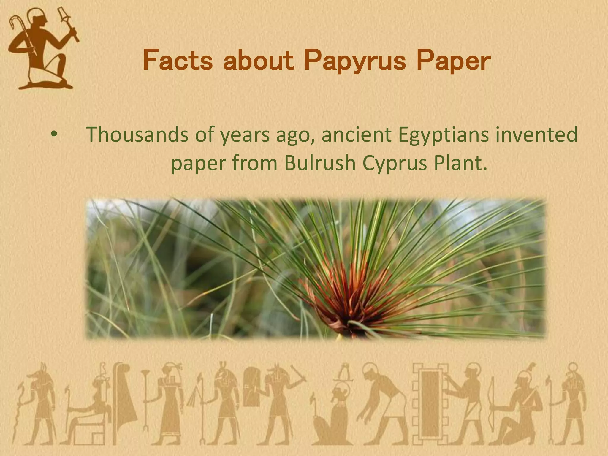 History of Egyptian Papyrus Paper | PPTX