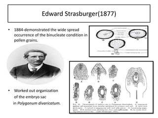 History of embryology in plants | PPTX