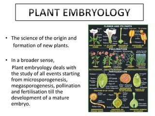 History of embryology in plants | PPTX