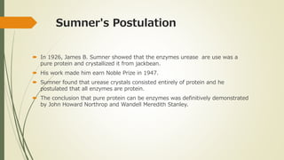 History of enzymes. | PPTX